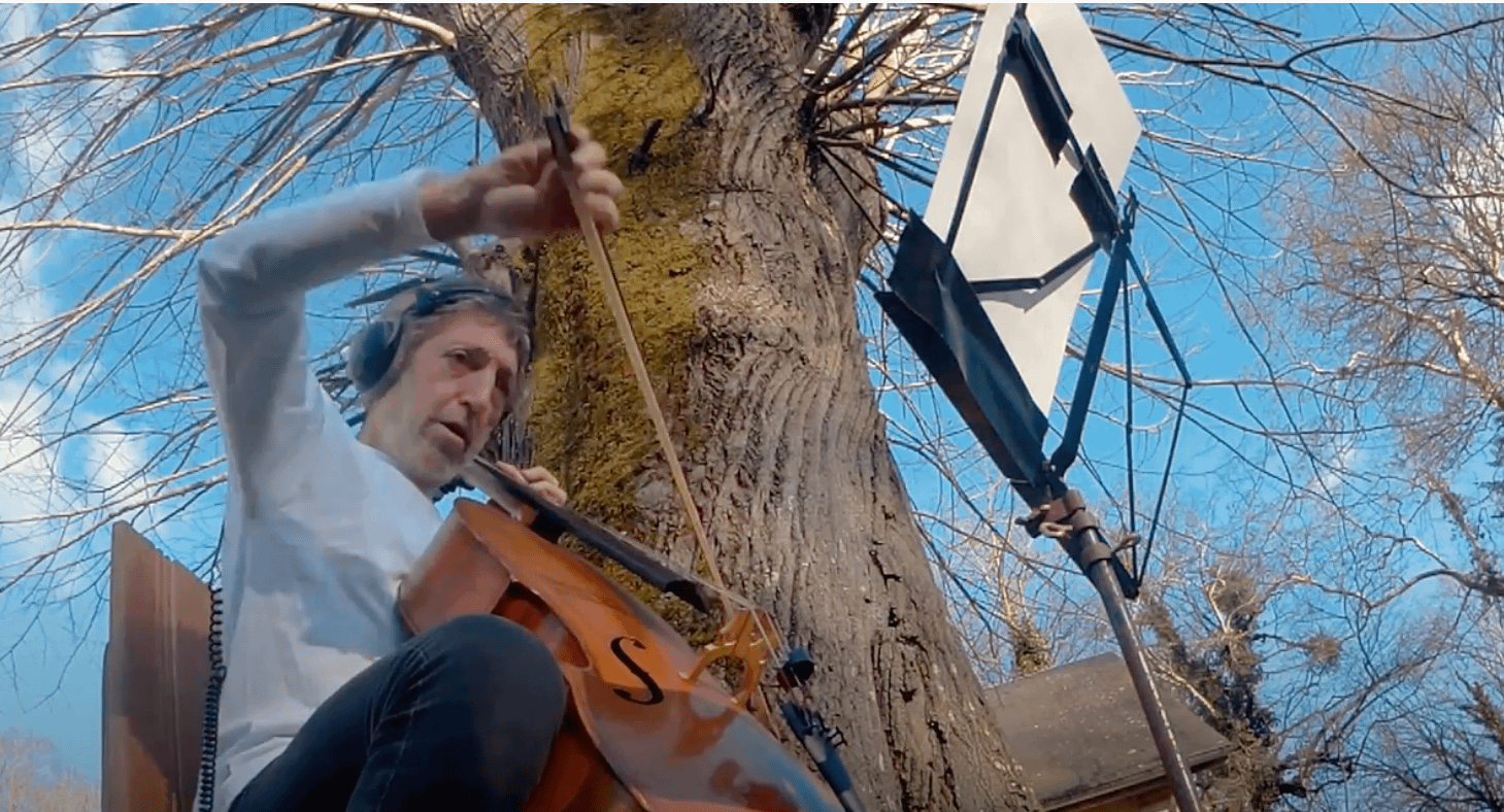 Trees of Music launch new video for International Day of Forests ...